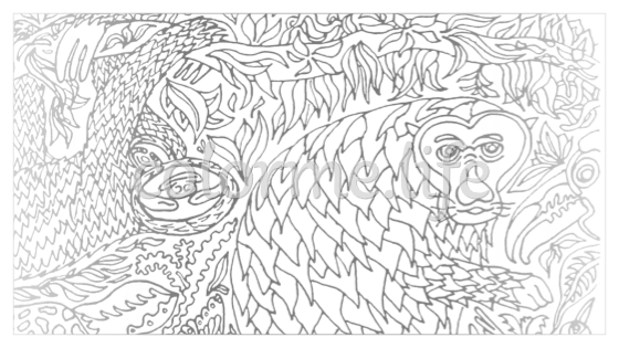 Coloring pages for adults and kids
