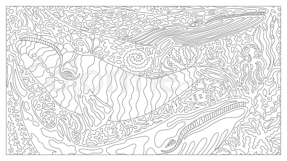 Coloring pages for adults and kids